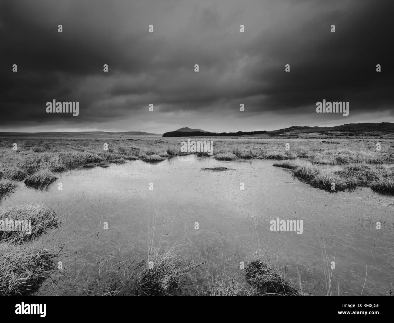 Open marsh land Black and White Stock Photos & Images - Alamy
