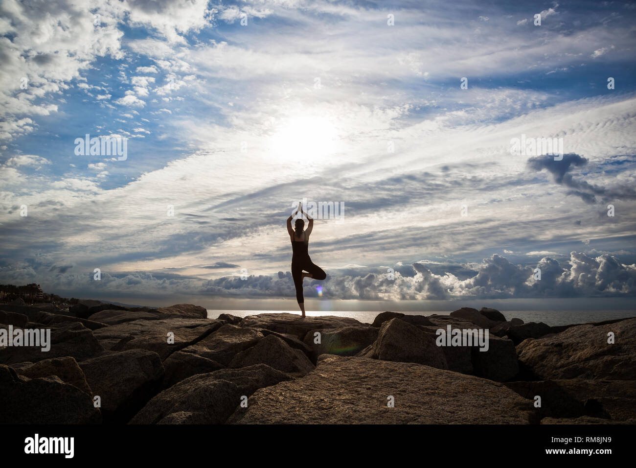 Tree position hi-res stock photography and images - Alamy