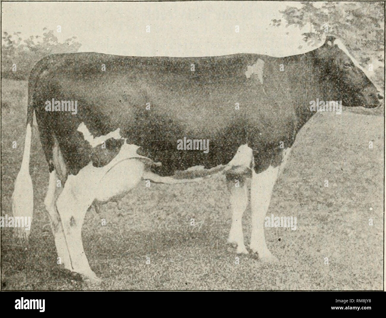 Cooperative principle hi-res stock photography and images - Alamy