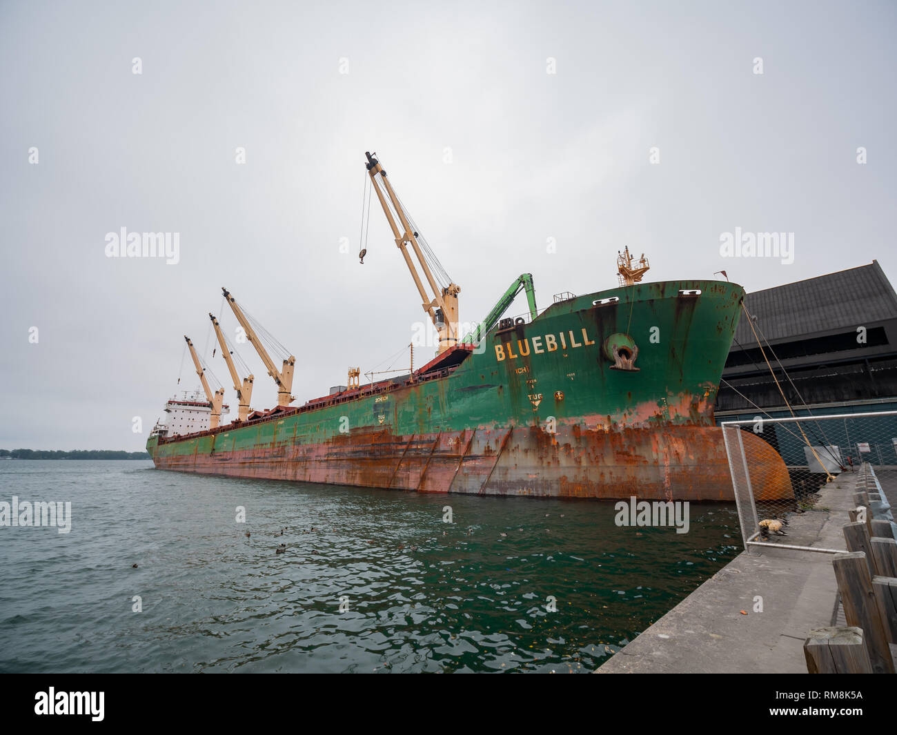 Toronto, OCT 5: The cargo ship parked next to Sugar Beach Park on OCT 5 ...
