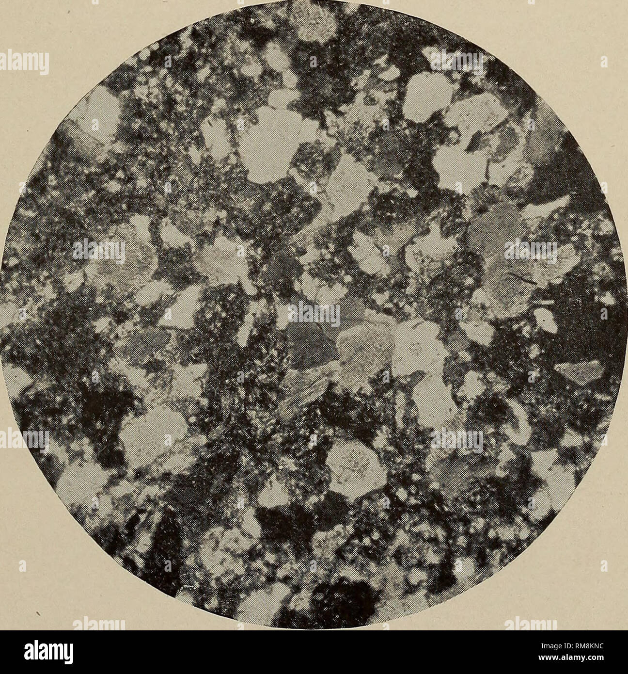 Interlocking fibers hi-res stock photography and images - Alamy