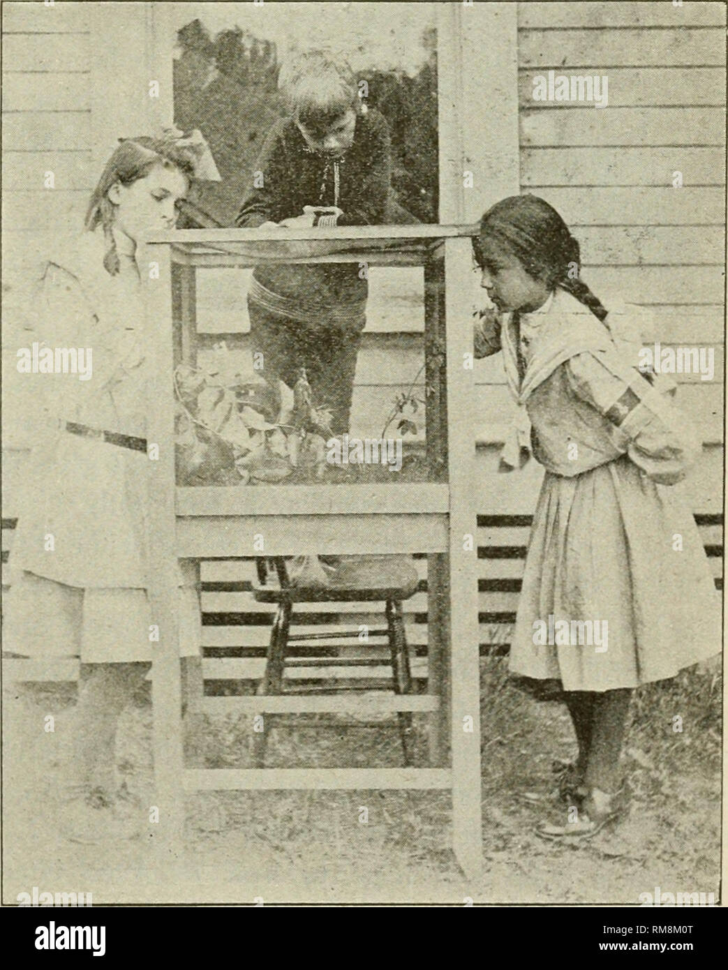 Upside down turtle hi-res stock photography and images - Alamy