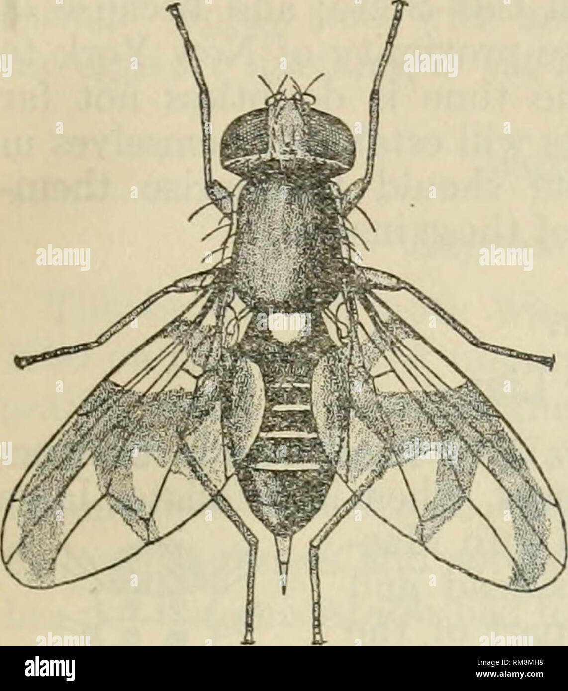 . Annual report of the Commissioner of Agriculture ... Agriculture ...
