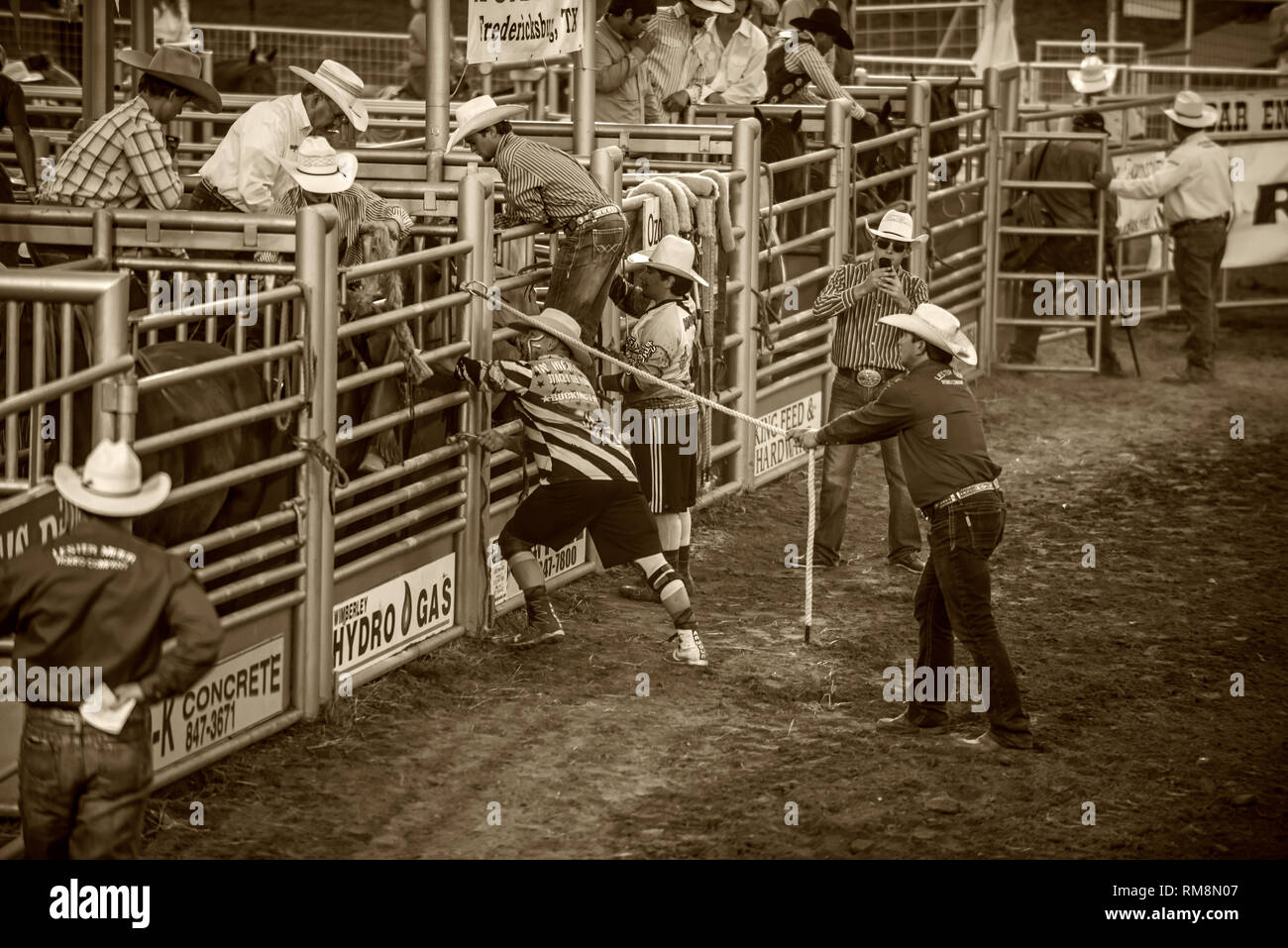 Rodeo chute hi-res stock photography and images - Alamy