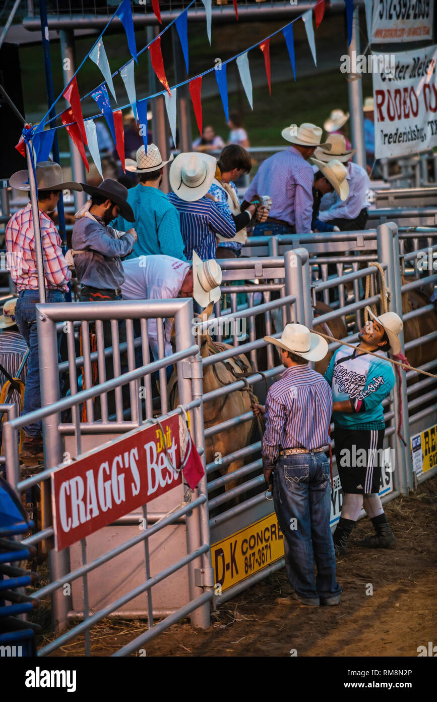 Bareback rider in rodeo chute ready to ride Stock Photo - Alamy