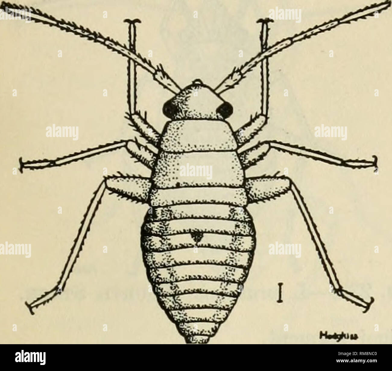 . Annual report of the Commissioner of Agriculture ... Agriculture ...