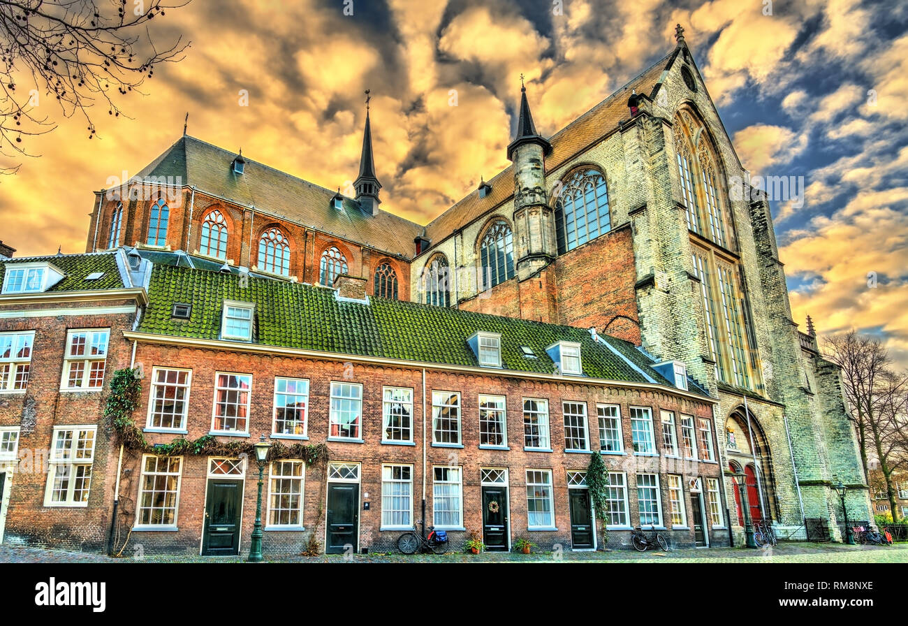 The pieterskerk is a late gothic church in leiden hi-res stock ...