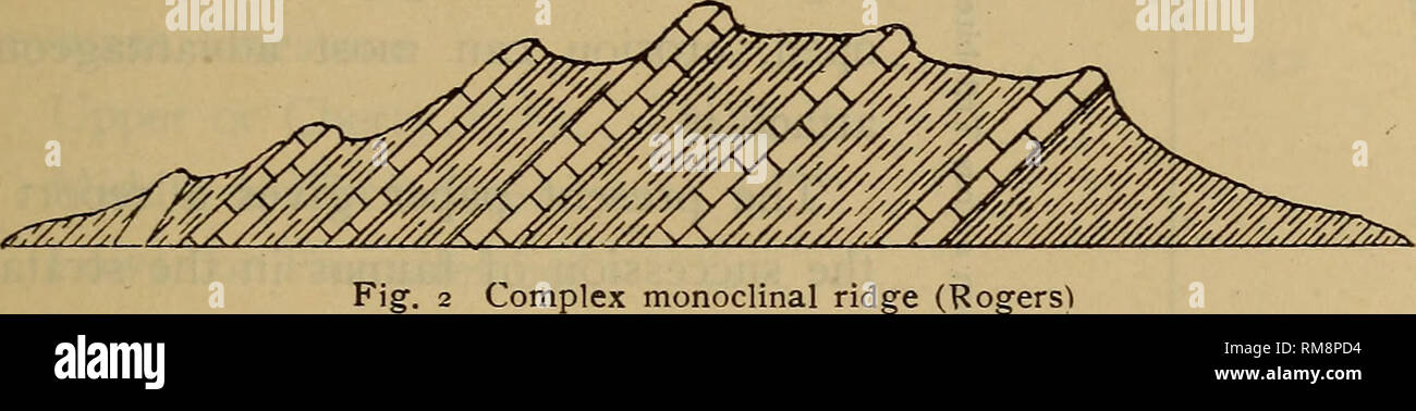 Limb fossils hi-res stock photography and images - Alamy