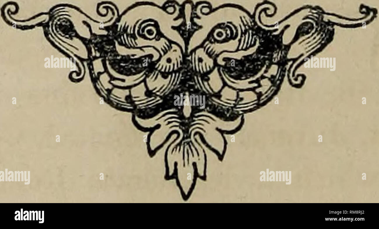 Scrabo Sandstone High Resolution Stock Photography and Images - Alamy