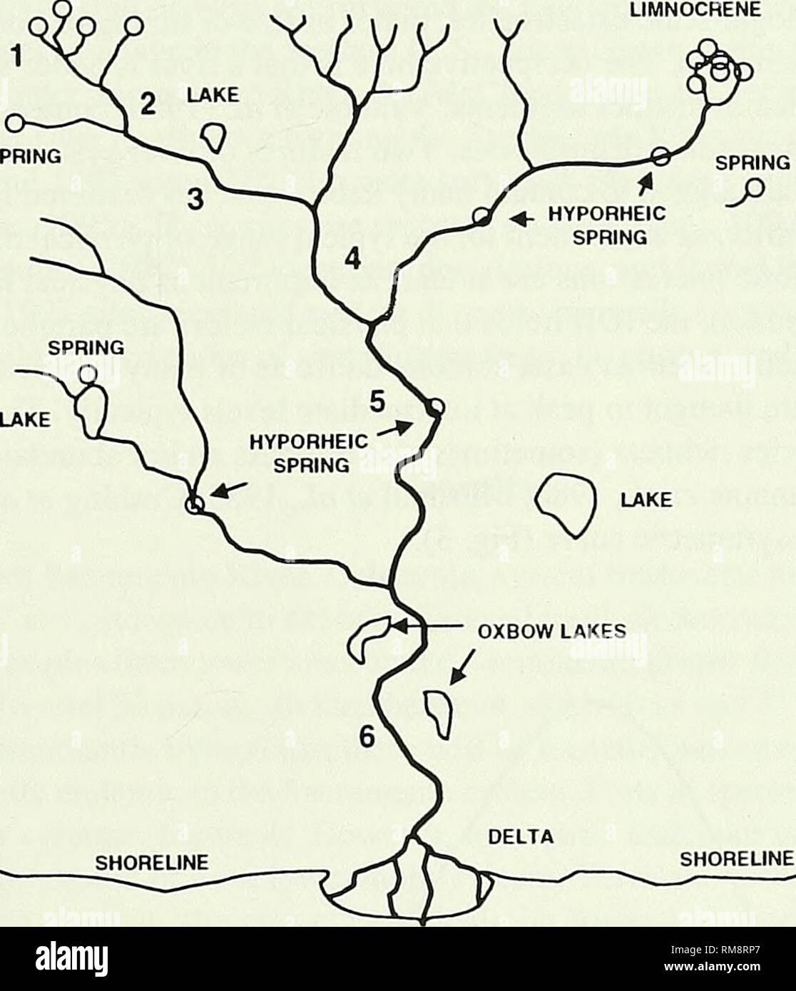 . Annual report - Western Society of Malacologists. Mollusks; Mollusks ...