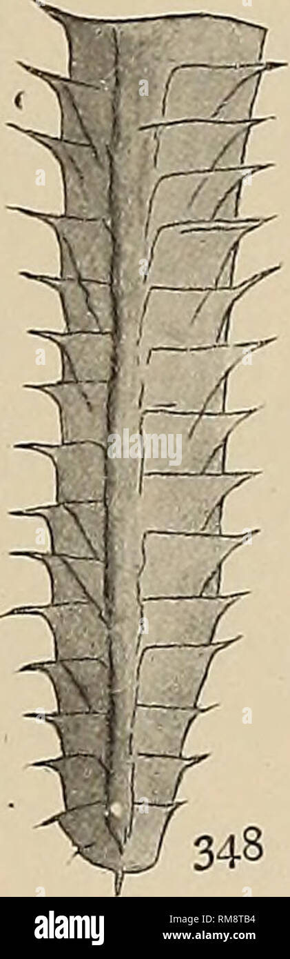 Mechanicville n hi-res stock photography and images - Alamy