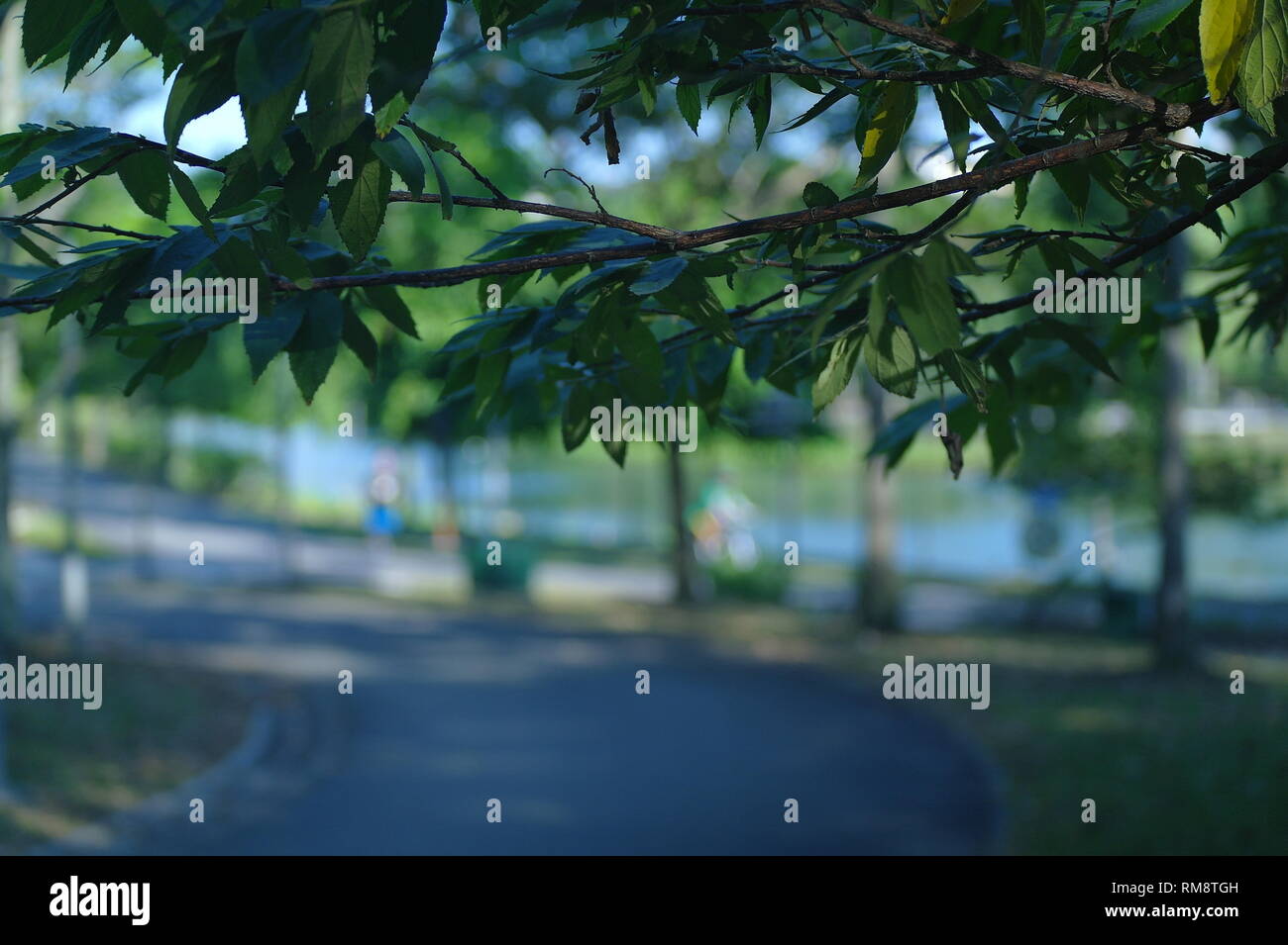 Punggol waterway hi-res stock photography and images - Alamy