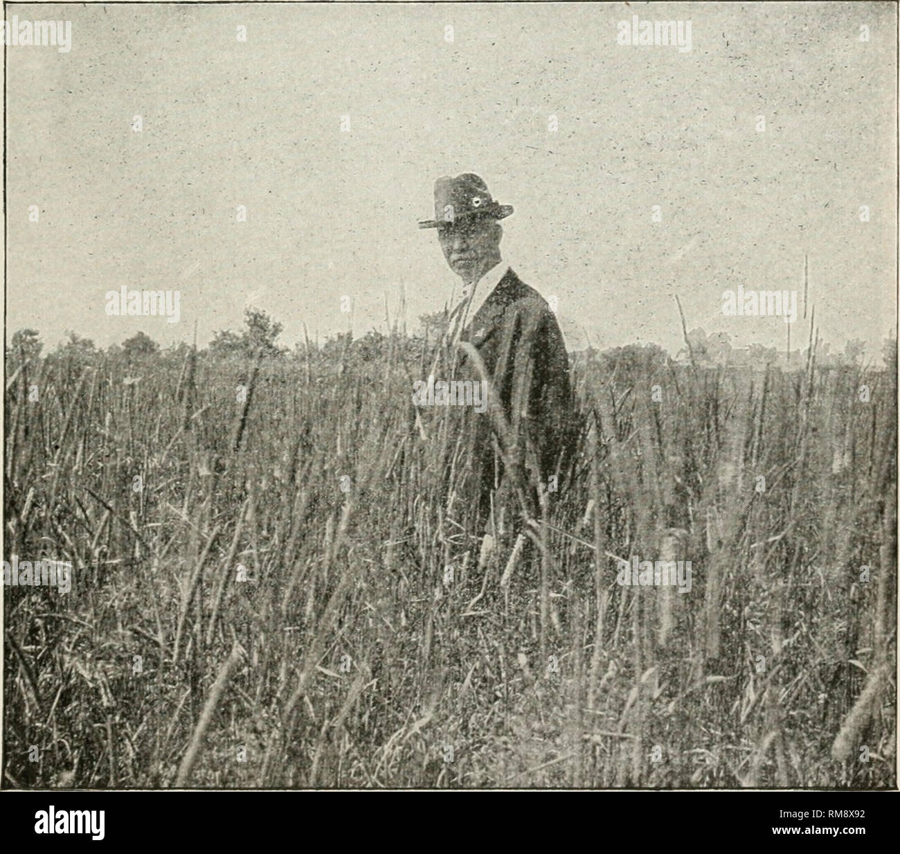 Blue white nd red hi-res stock photography and images - Alamy