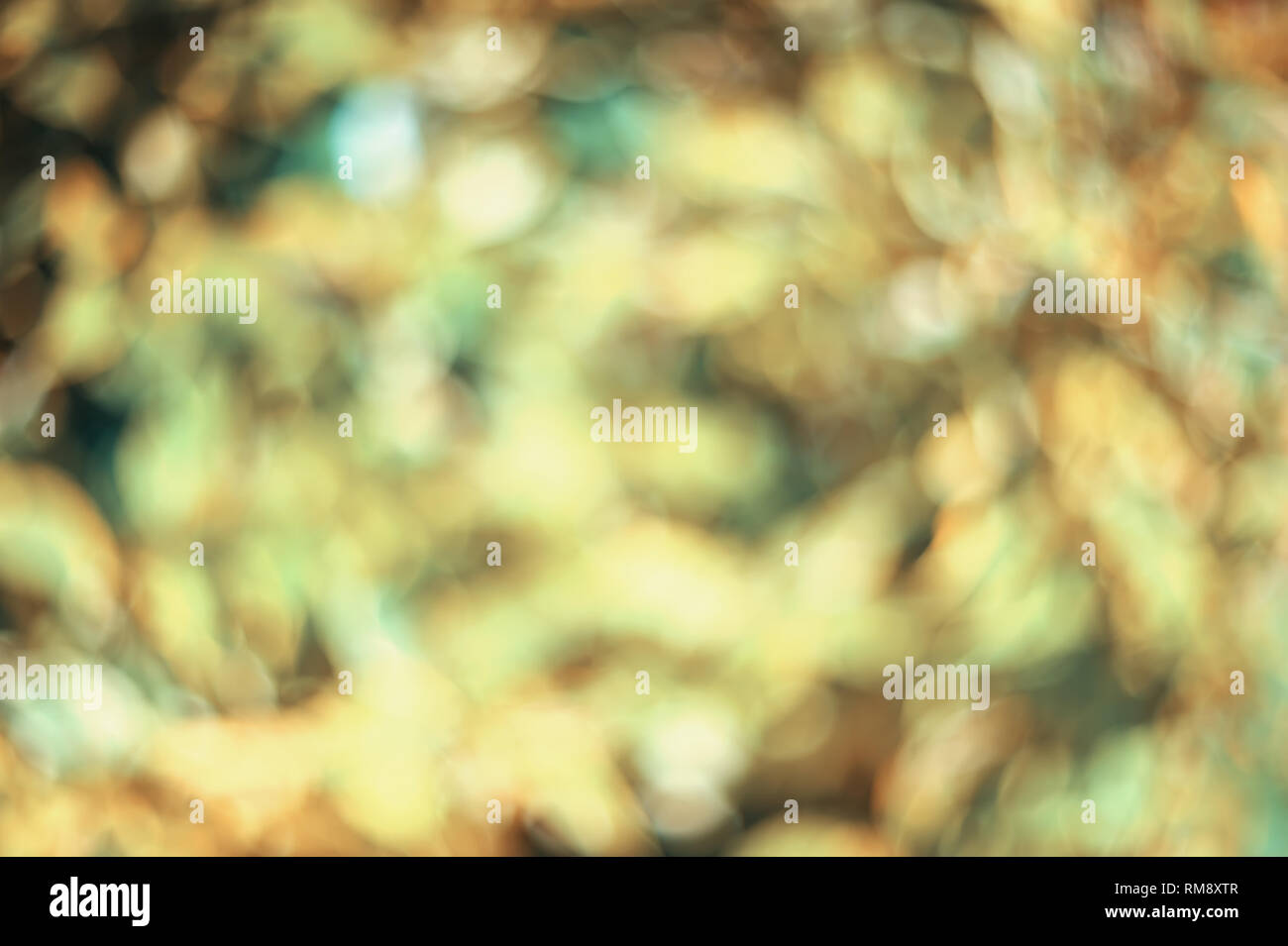 Abstract bokeh and blurred colorful nature background model used to ...