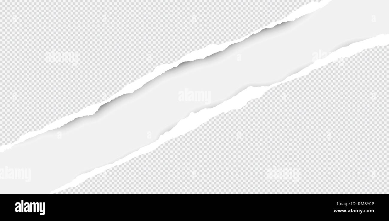 Diagonal torn white squared paper strips for text or message are on ...