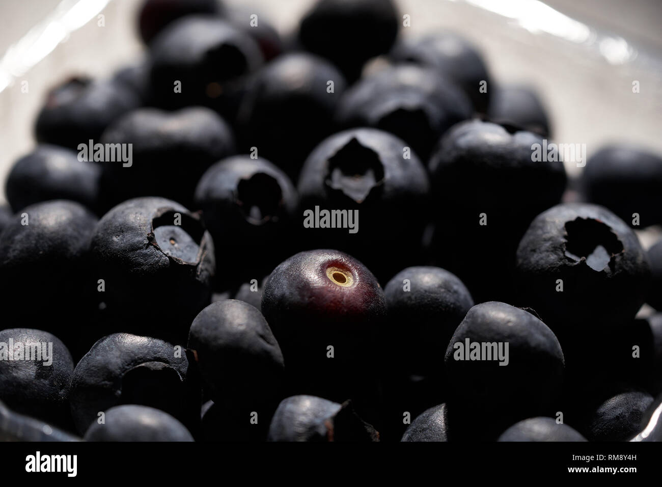 Blueberries close up Stock Photo - Alamy