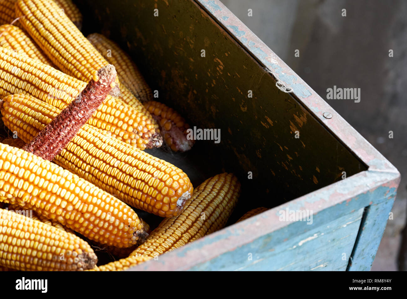 Corn in a rustic container Stock Photo - Alamy