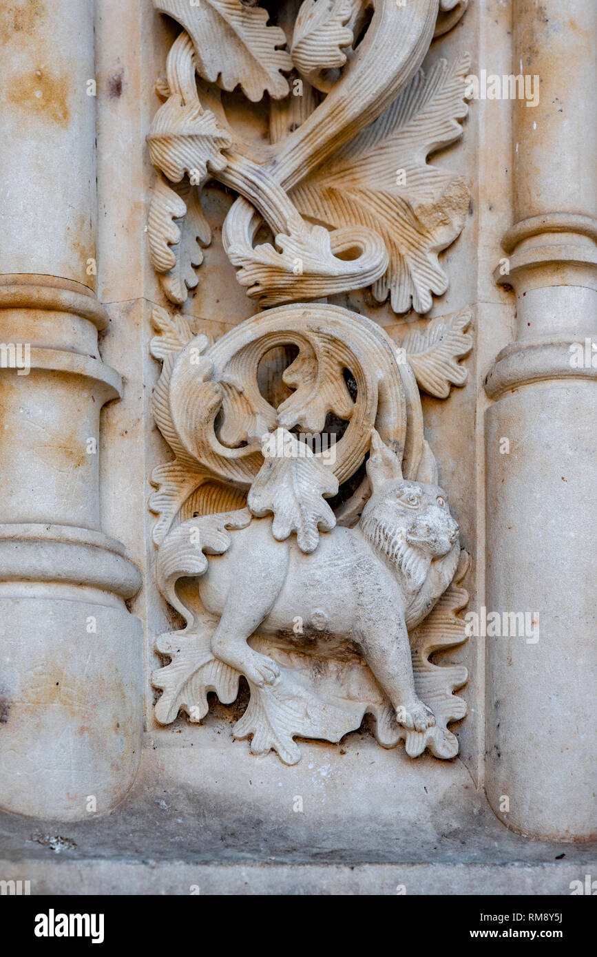 The famous lynx carved in stone on the Salamanca Cathedral facade Stock ...