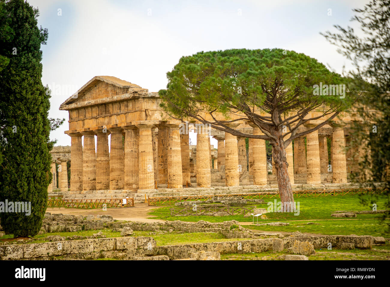 Old ruins of Neptune Temple in paestum, Italy Stock Photo - Alamy