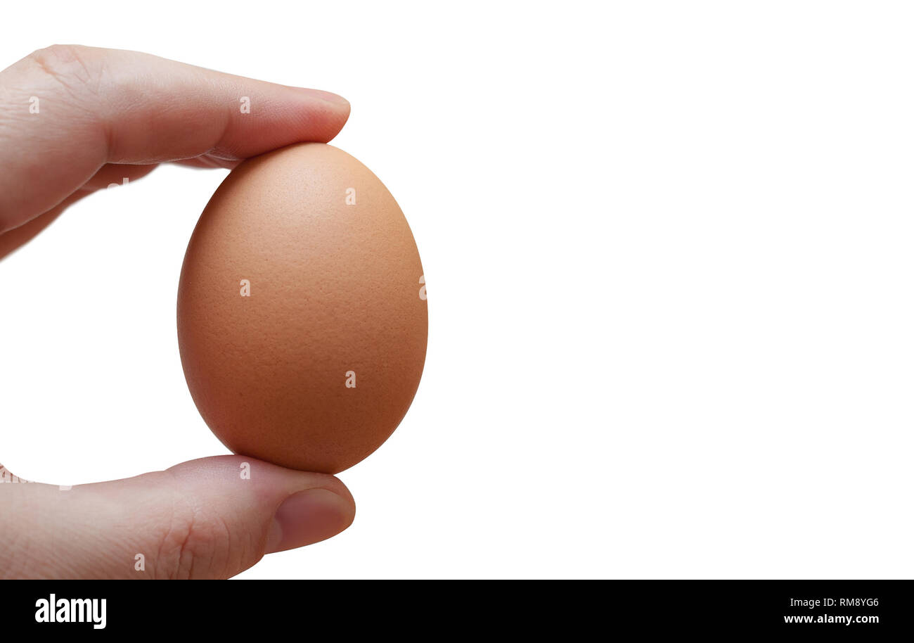 Hand holding an egg isolated on white background Stock Photo - Alamy