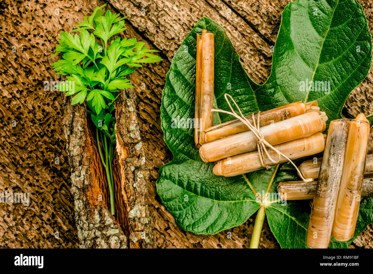 Razor fish shells hi-res stock photography and images - Alamy