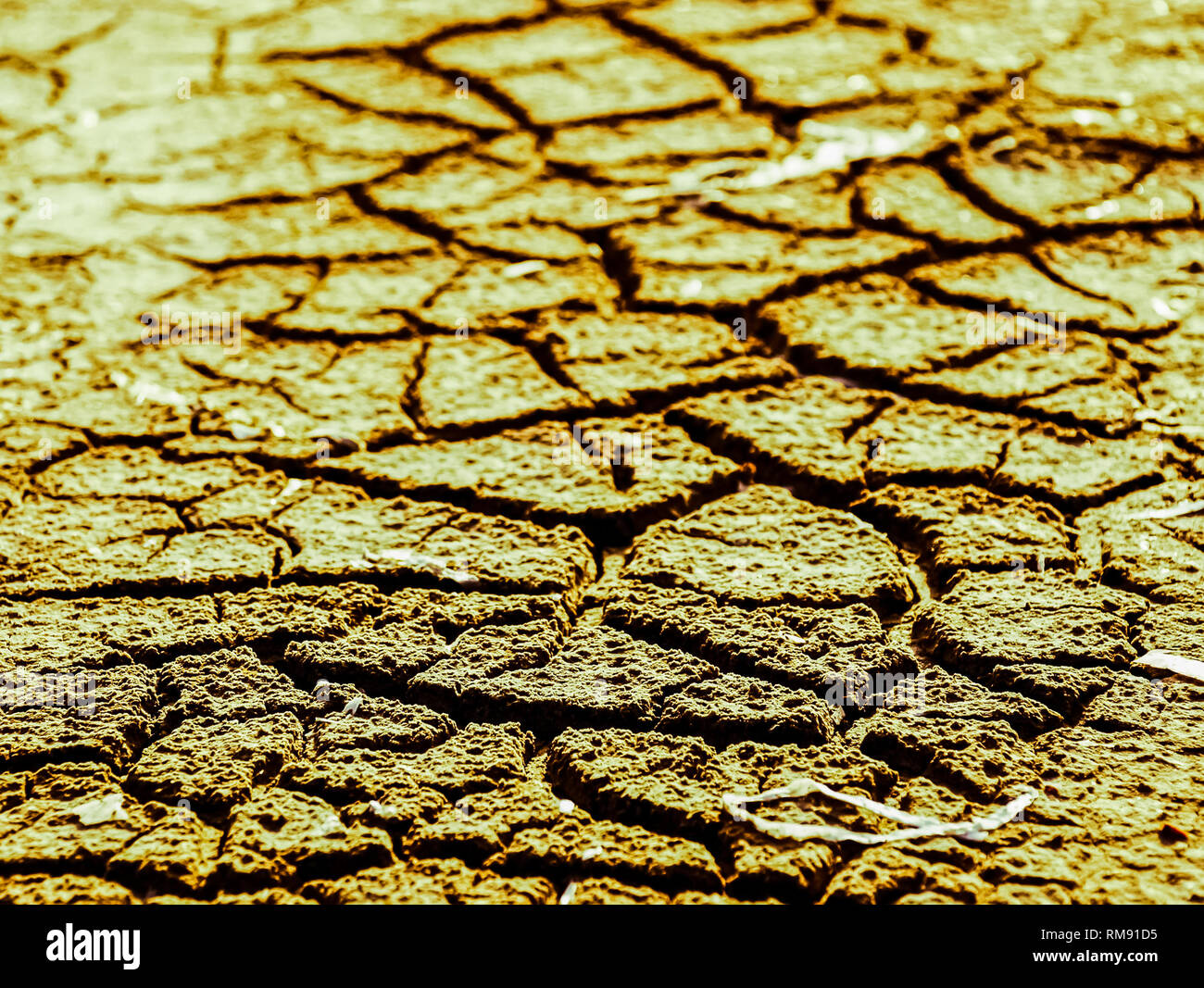 Dry cracked soil. Drought on the ground Stock Photo - Alamy