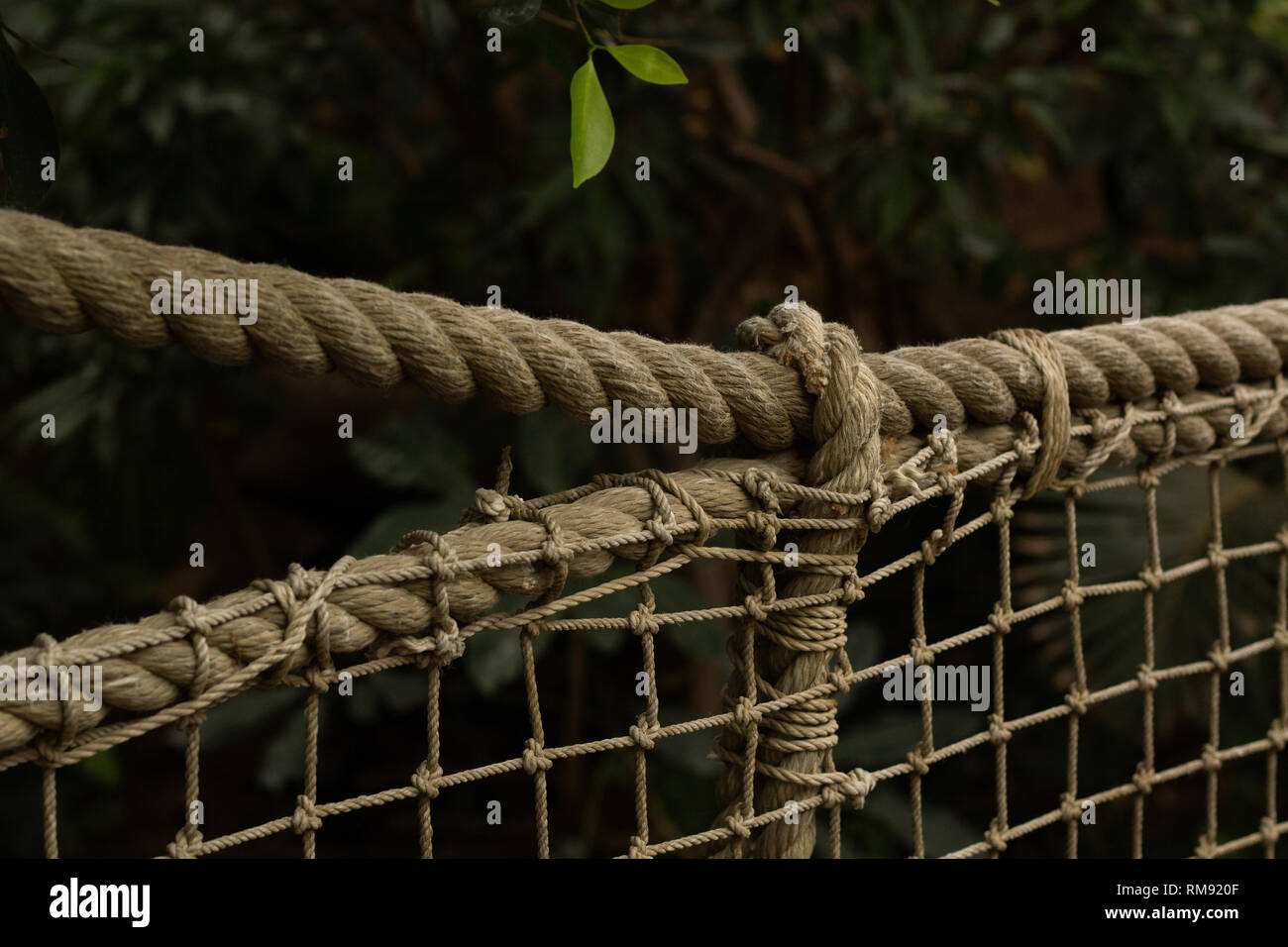 Detailed Rope Bridge With Leafy Green Jungle Background Stock Photo - Alamy