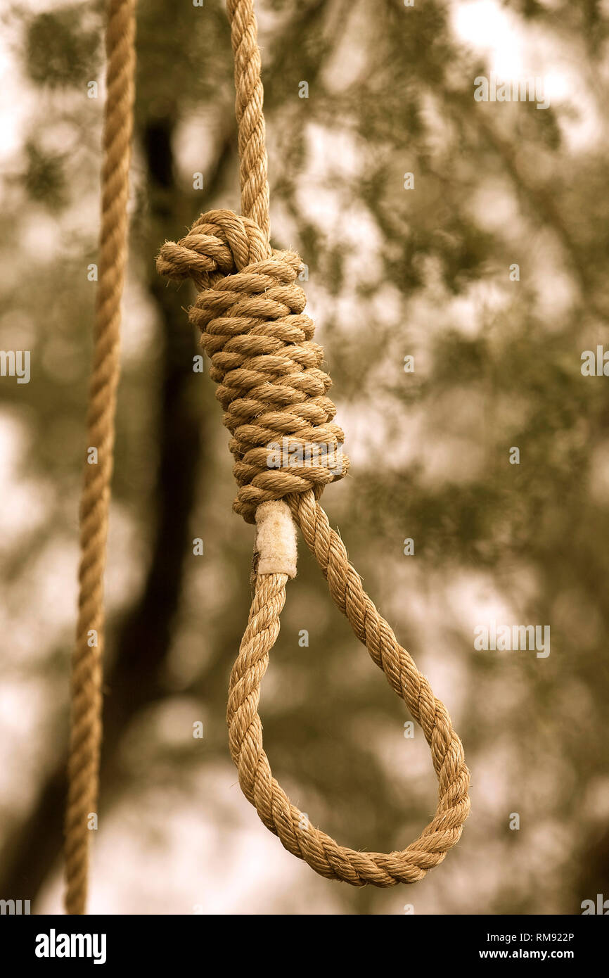Noose And Tree High Resolution Stock Photography and Images - Alamy