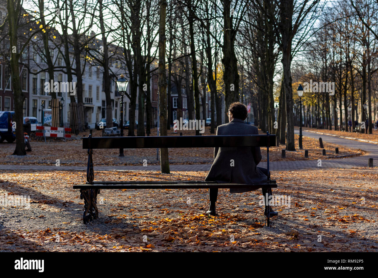 Man sitting on bench contemplating hi-res stock photography and images ...
