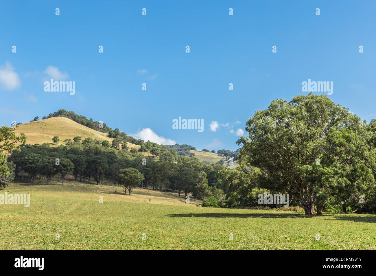 View of the Australian countryside in the Upper Hunter Valley, NSW ...