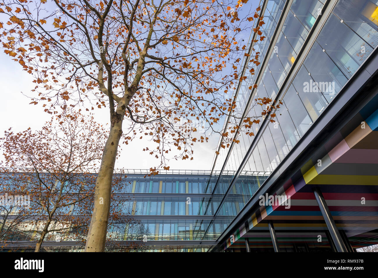 Detail of modern glass building with a tree in autumn colours Stock ...