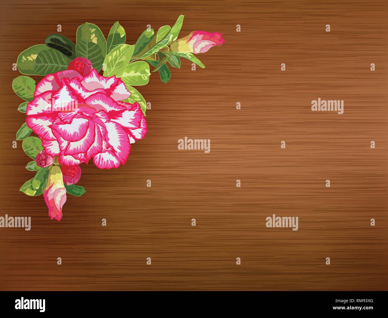 Floral desert rose flower Stock Vector Images - Alamy