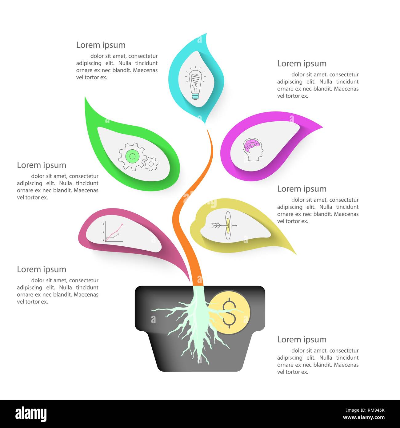 Root plant diagram Stock Vector Images - Alamy