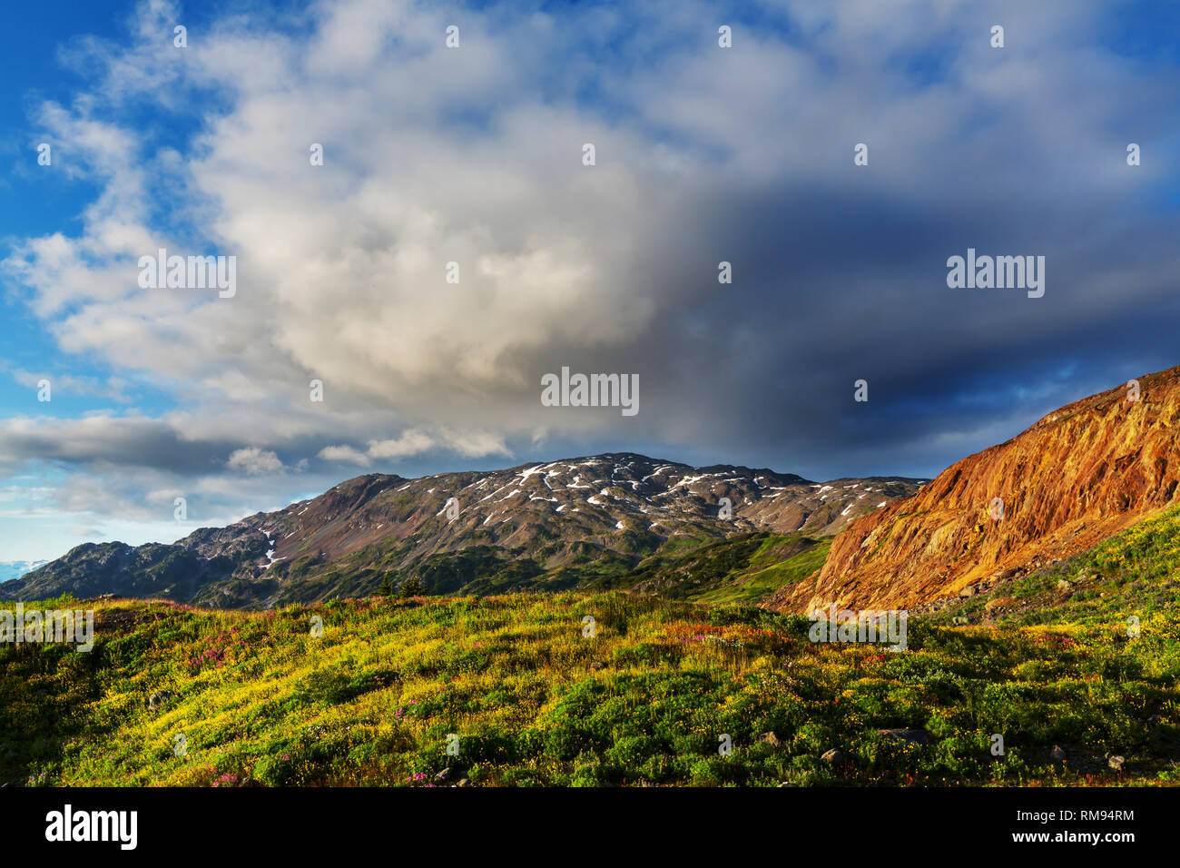 Alaska tundra summer sun hi-res stock photography and images - Alamy