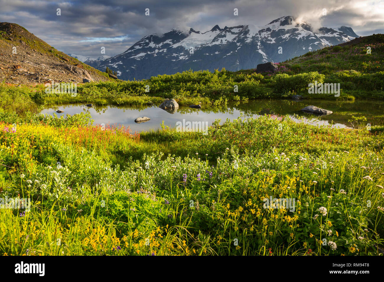 Alaska Summer Mountains