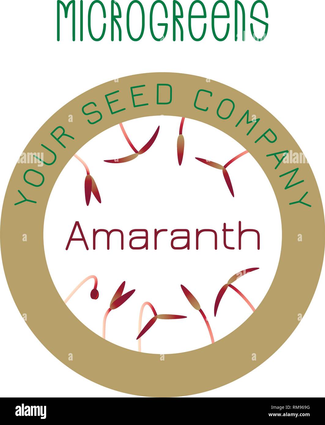Amaranth seeds Stock Vector Images - Alamy