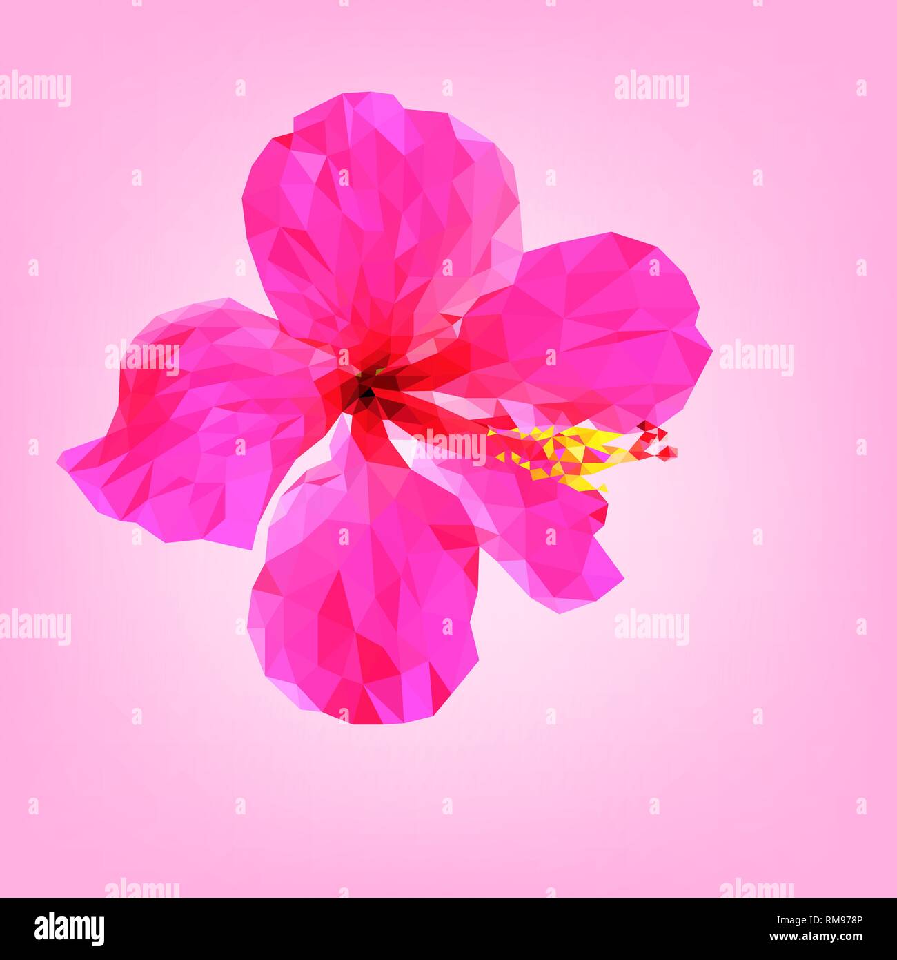Pink hibiscus flower polygon Stock Vector Image & Art - Alamy
