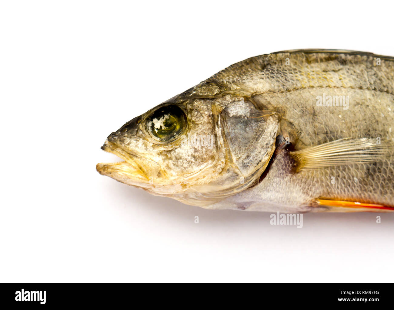 The Dried Fish on a white background. Perch Stock Photo - Alamy