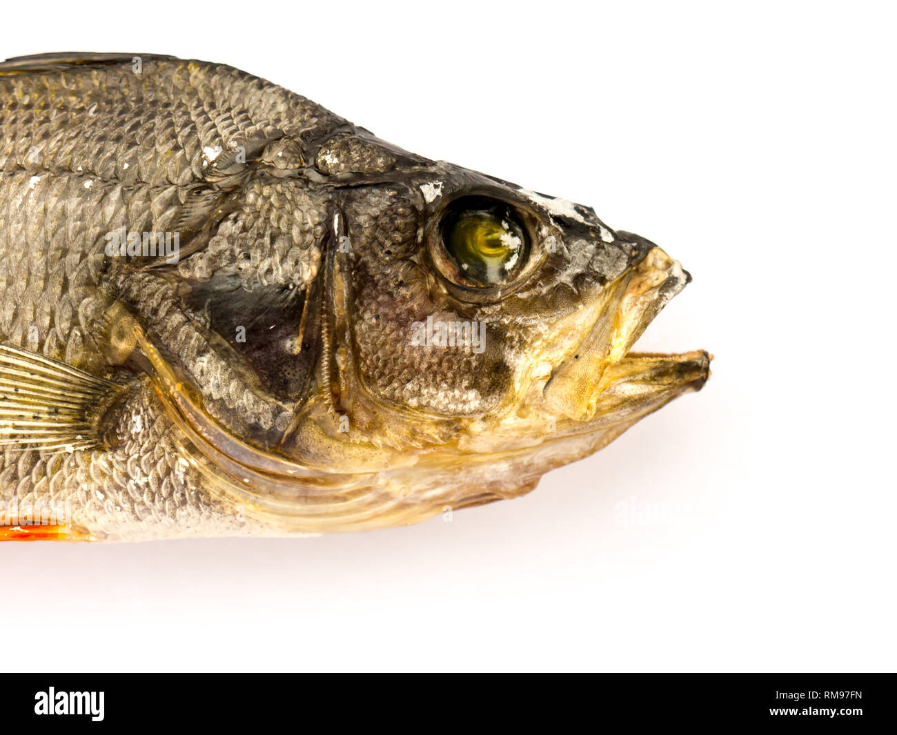 The Dried Fish on a white background. Perch Stock Photo - Alamy