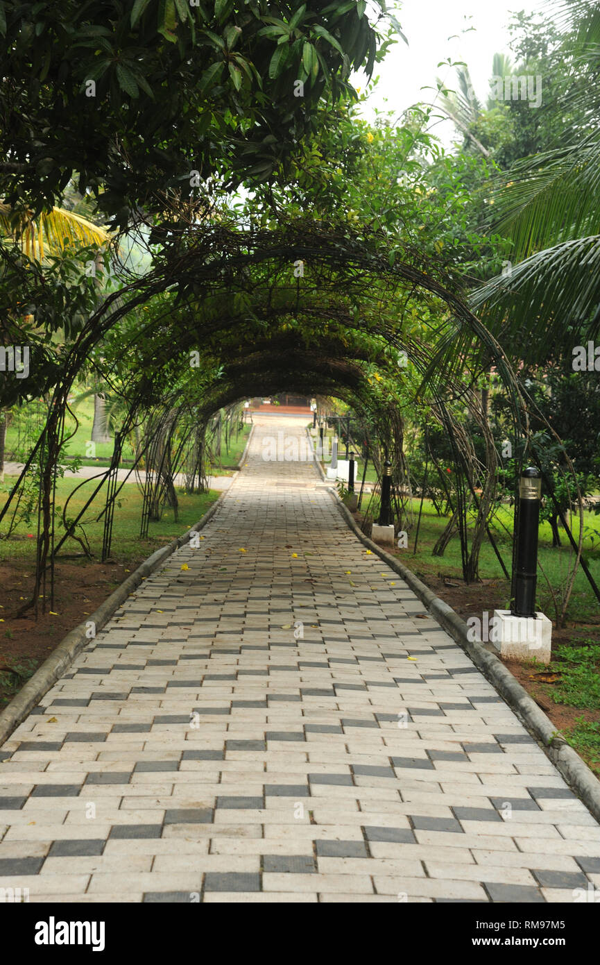 Paver block path, Isola di Cocco, Poovar, Kerala, India Stock Photo - Alamy