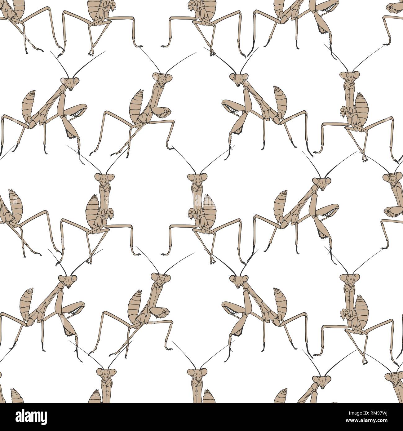 Mantis black background on Stock Vector Images - Alamy