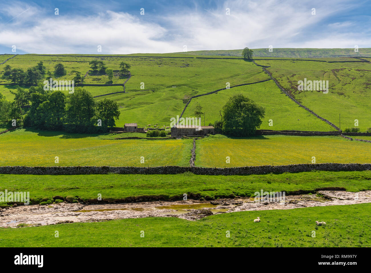 Litton, North Yorkshire, England, UK - June 05, 2018: Farmland and ...