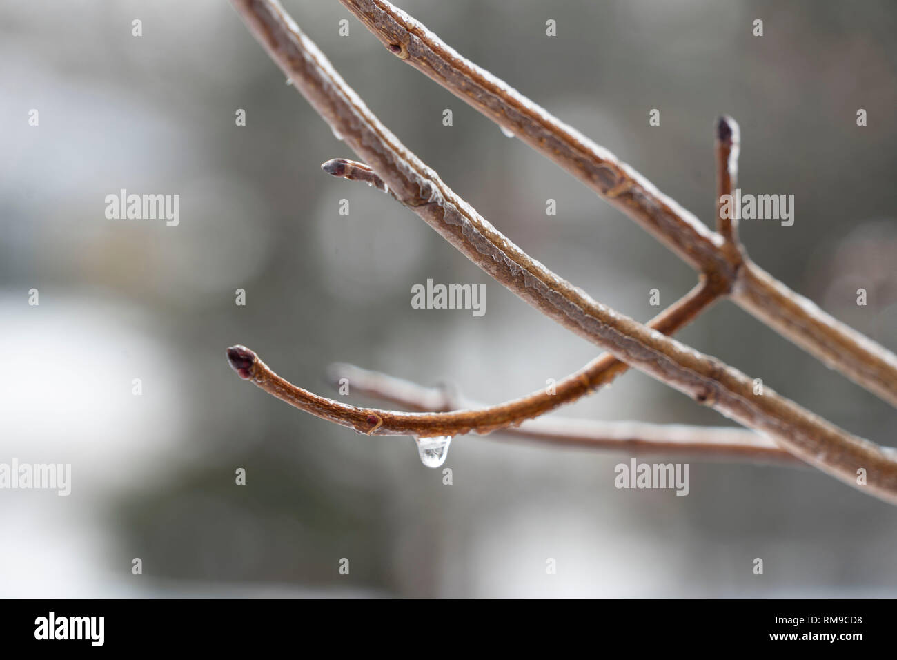 Dripping freezing water hi-res stock photography and images - Alamy