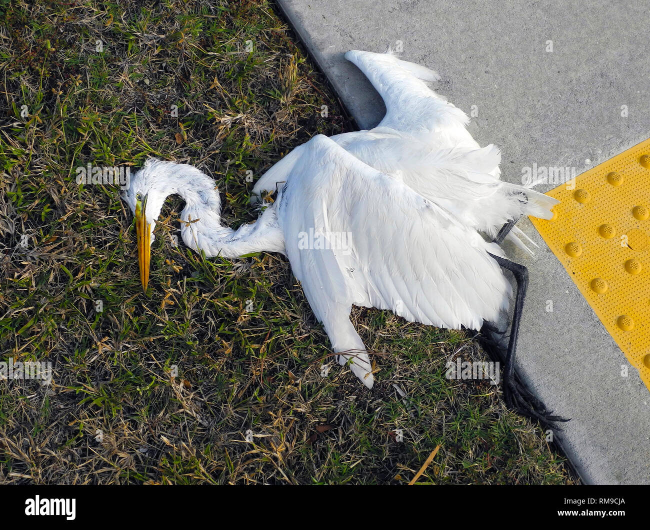 Conservation organizations hi-res stock photography and images - Alamy