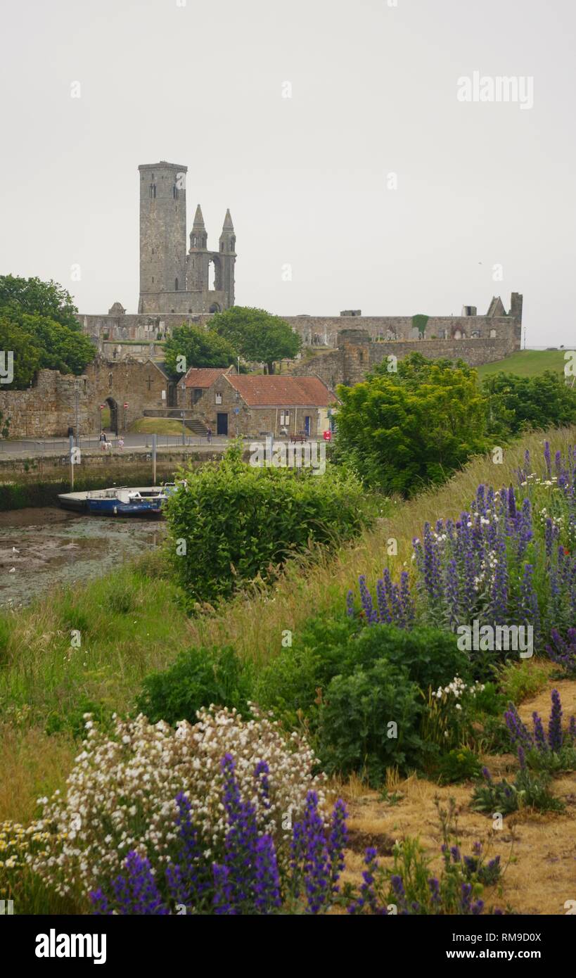 The pends st andrews hi-res stock photography and images - Alamy