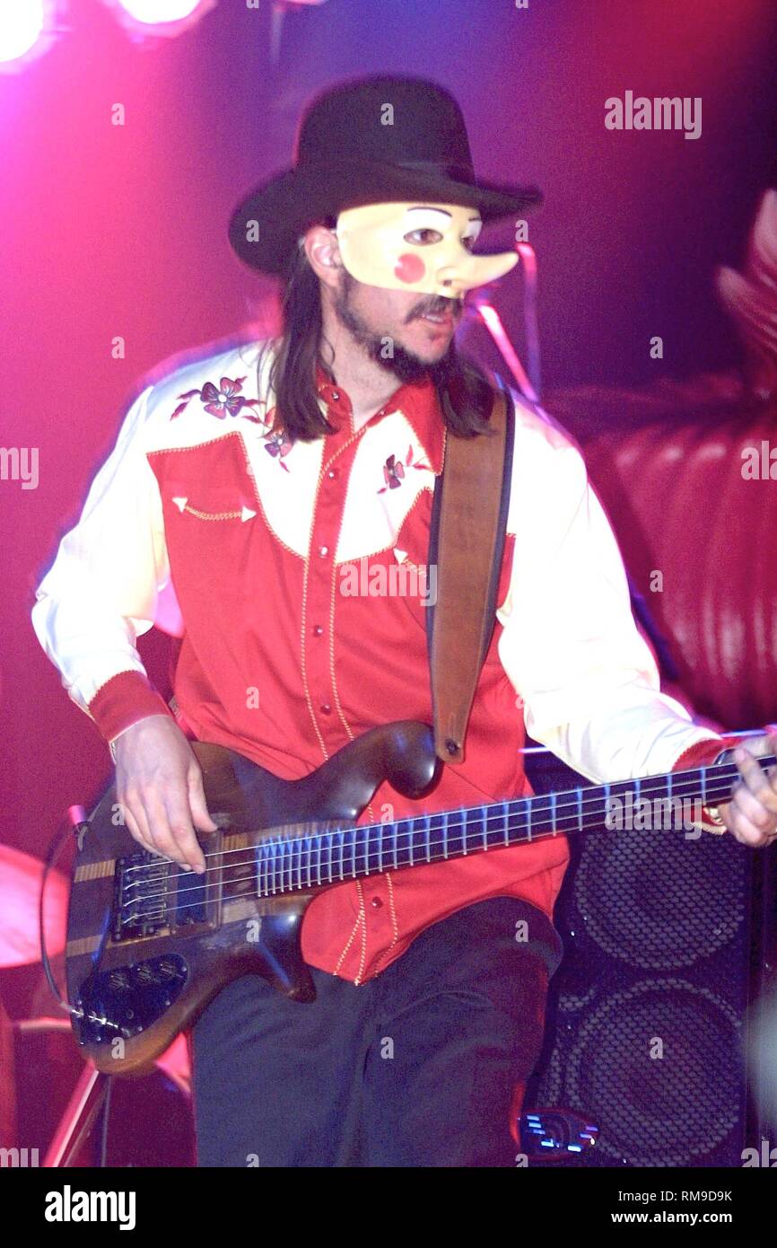 Multi-instrumentalist, novelist, music producer, actor, and film ...