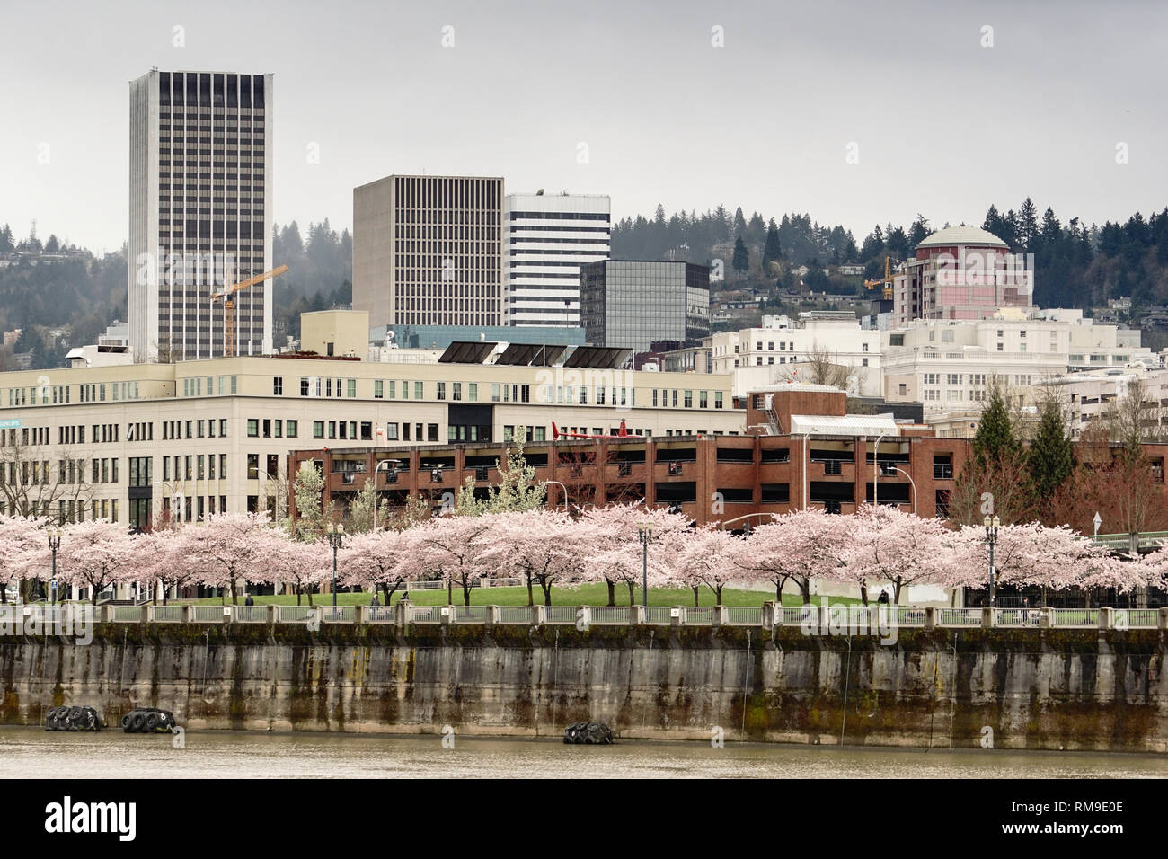 Downtown waterfront parks hi-res stock photography and images - Alamy
