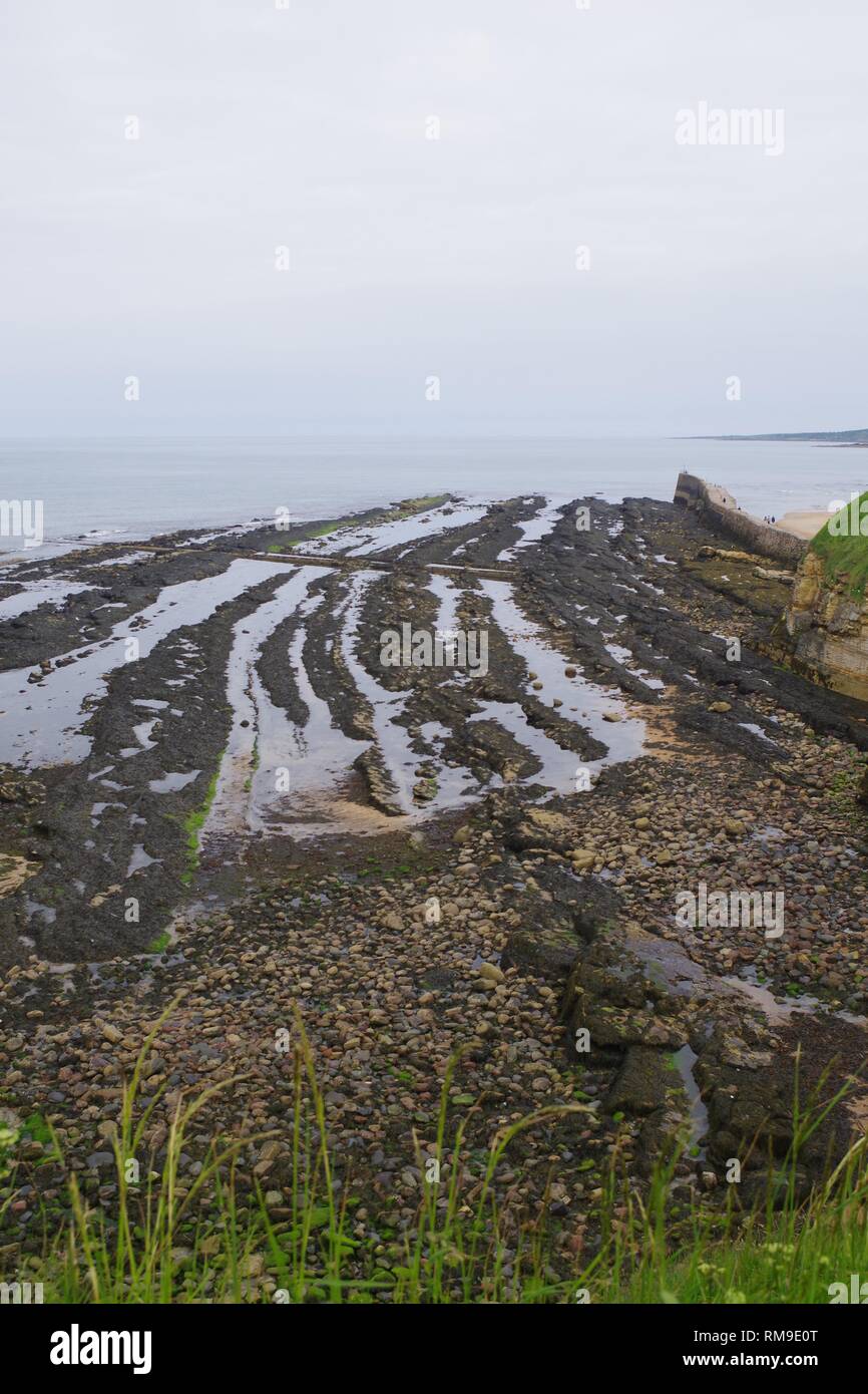 Exposed Carboniferous Sandstone Strata by St Andrew's Pier. Fife ...