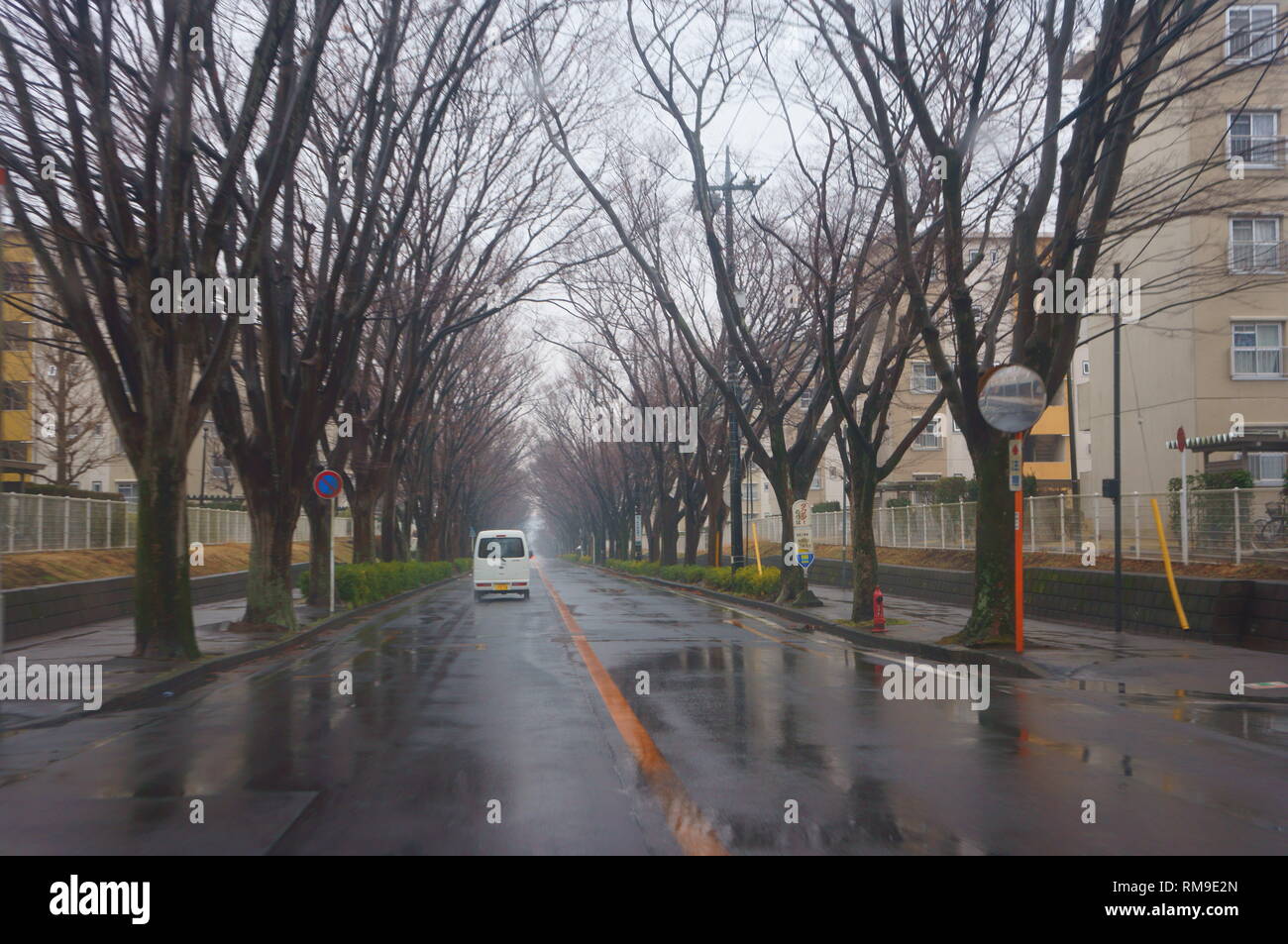 Driving down a tree lined street in Japan Stock Photo - Alamy