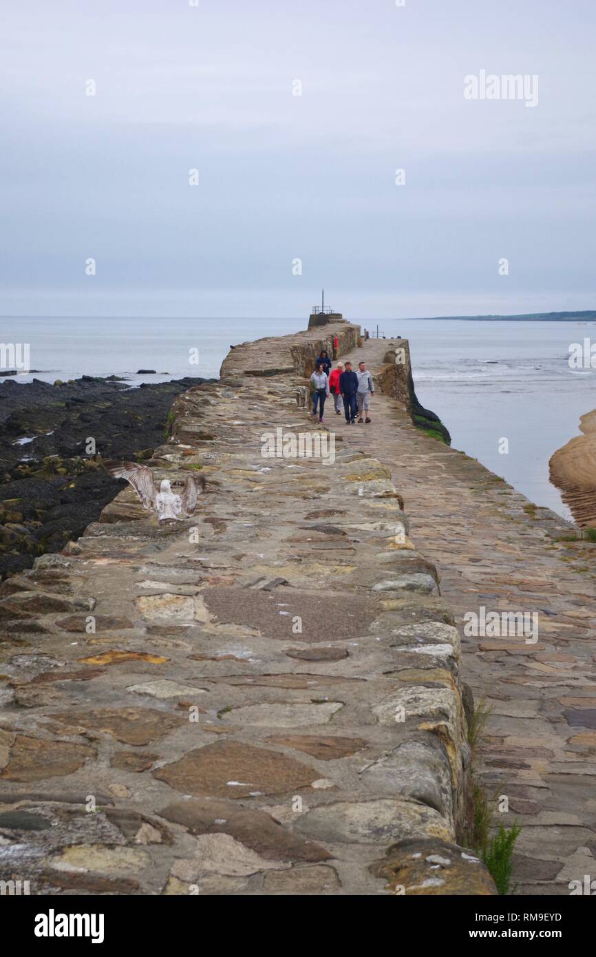 Long haven beach scotland hi-res stock photography and images - Alamy